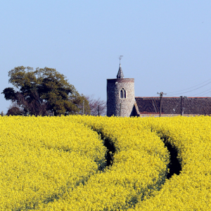 Home : Tuttington Hub